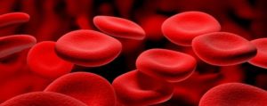 Globuli Rossi (Eritrociti): Cosa sono? Alti, Bassi e Cosa Mangiare